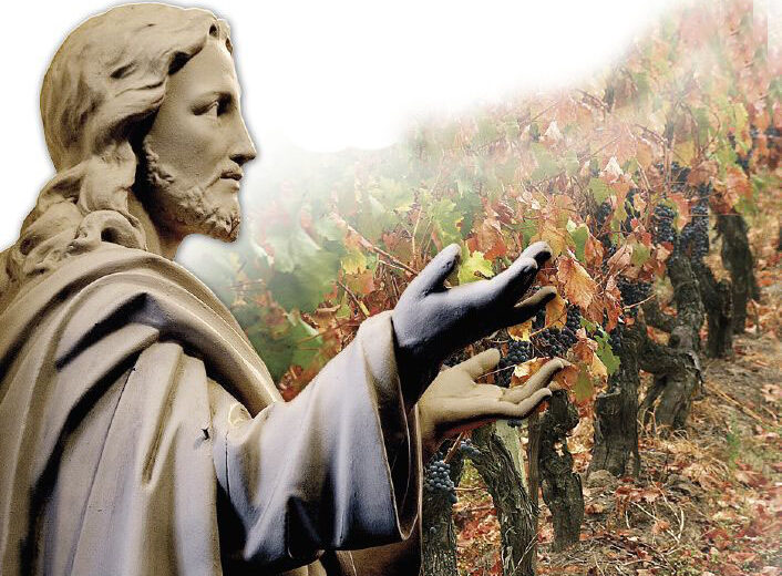 Videira, figura altamente simbólica